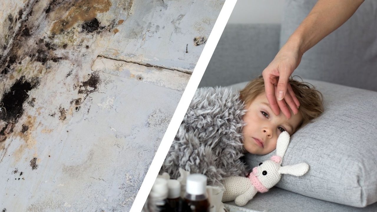 Know the Surprising Effects of Mold Exposure in Children